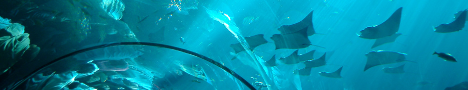 Aqua-Sander: Erwin Sander Elektroapparatebau GmbH